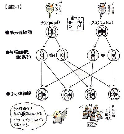  2 